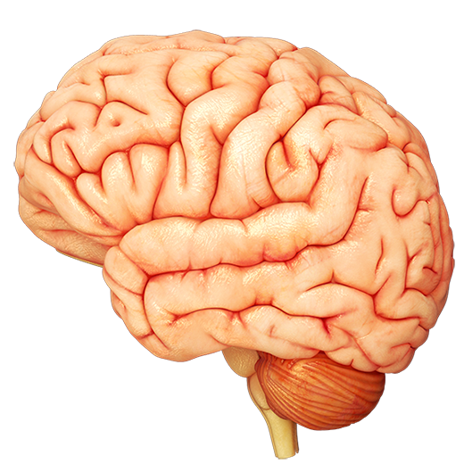 Candor Health Education