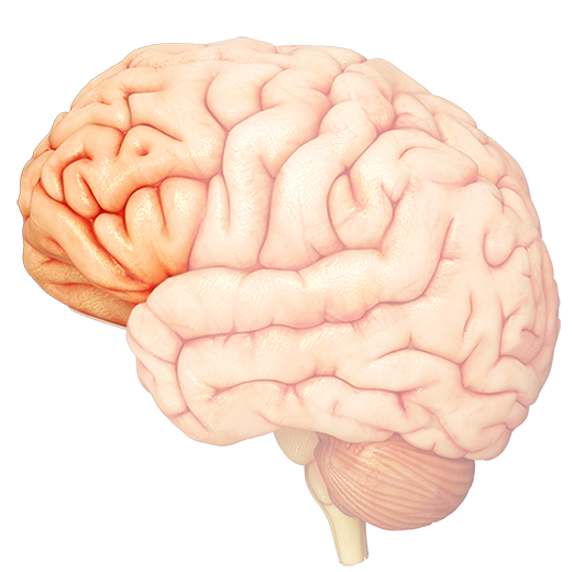 Candor Health Education