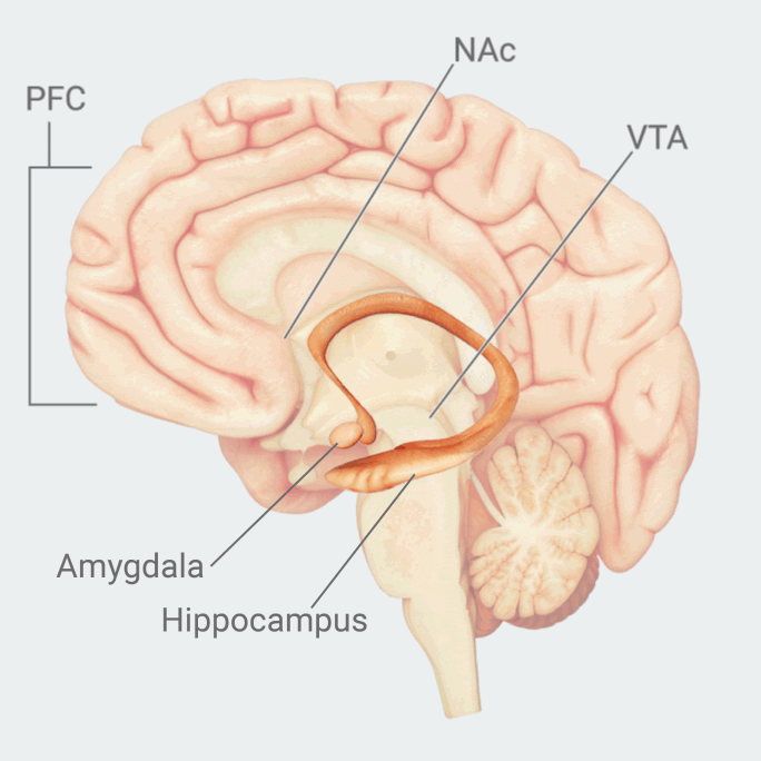 Candor Health Education