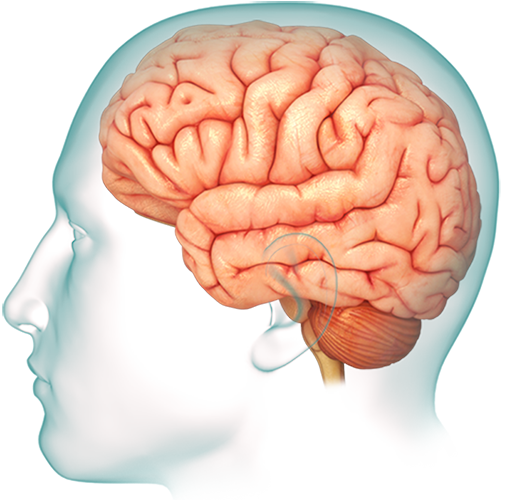 Candor Health Education